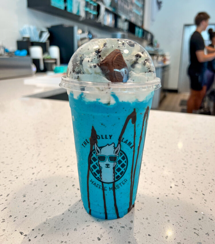 The Dolly Llama Waffle Master (Review) | ViewFromALove