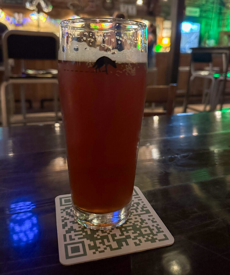 Aardwolf Brewing Company (Review) | ViewFromALove